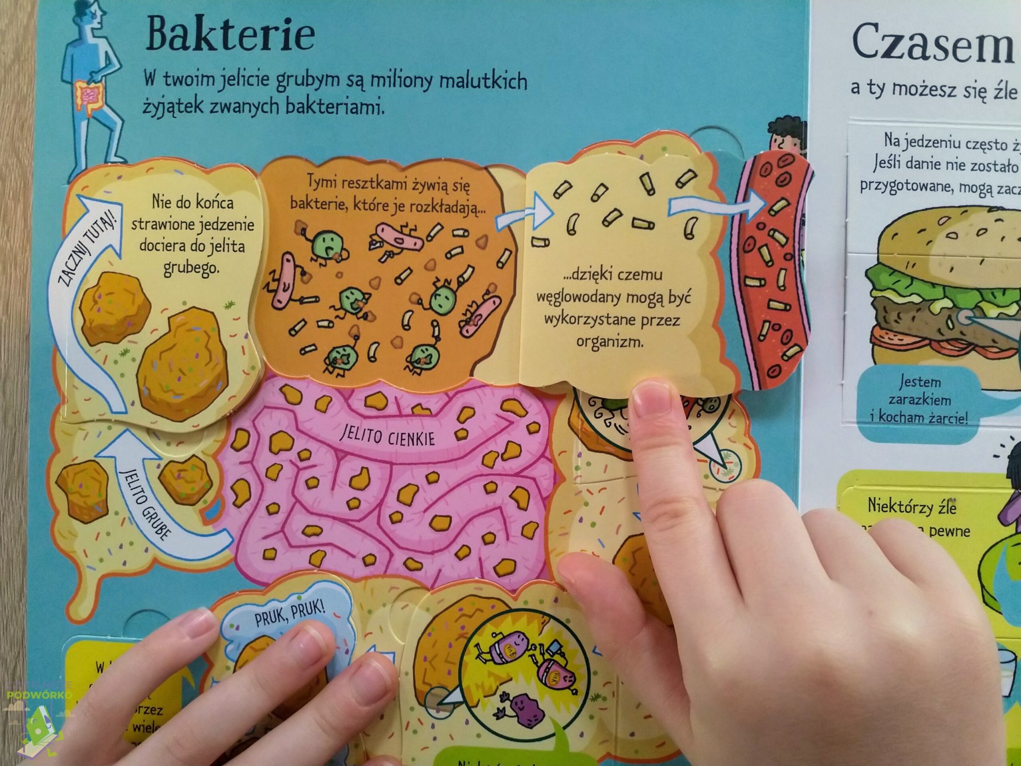 Czy wiesz po co jesz? – recenzja – Czytelnicze Podwórko