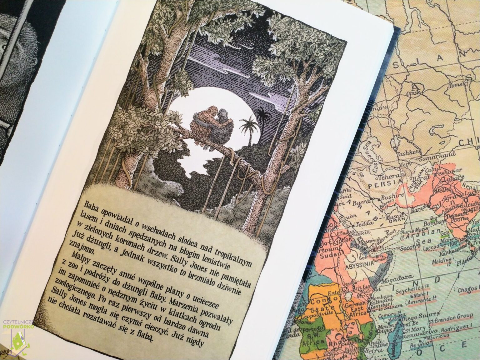 Legenda o Sally Jones - recenzja – Czytelnicze Podwórko