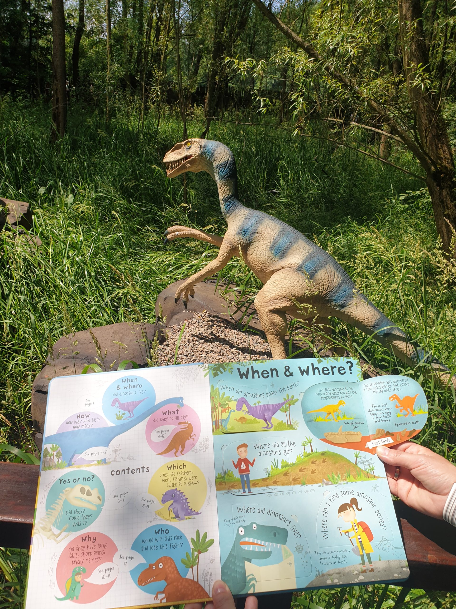 Questions and Answers about Dinosaurs - recenzja – Czytelnicze Podwórko